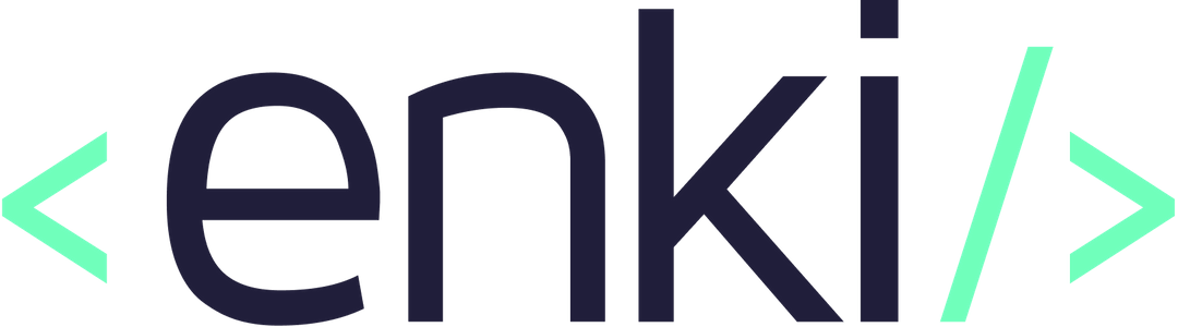 Enki | Learn 10x faster: coding, no-code, data